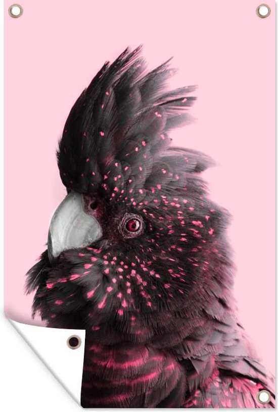 Décoration murale Cacatoès - Vogel - Rose - 120x180 cm - Poster jardin ...
