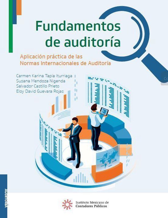 Fundamentos de auditoría. (ebook), Carmen Karina Tapia Iturriaga | 9786075630014 | Boeken | bol