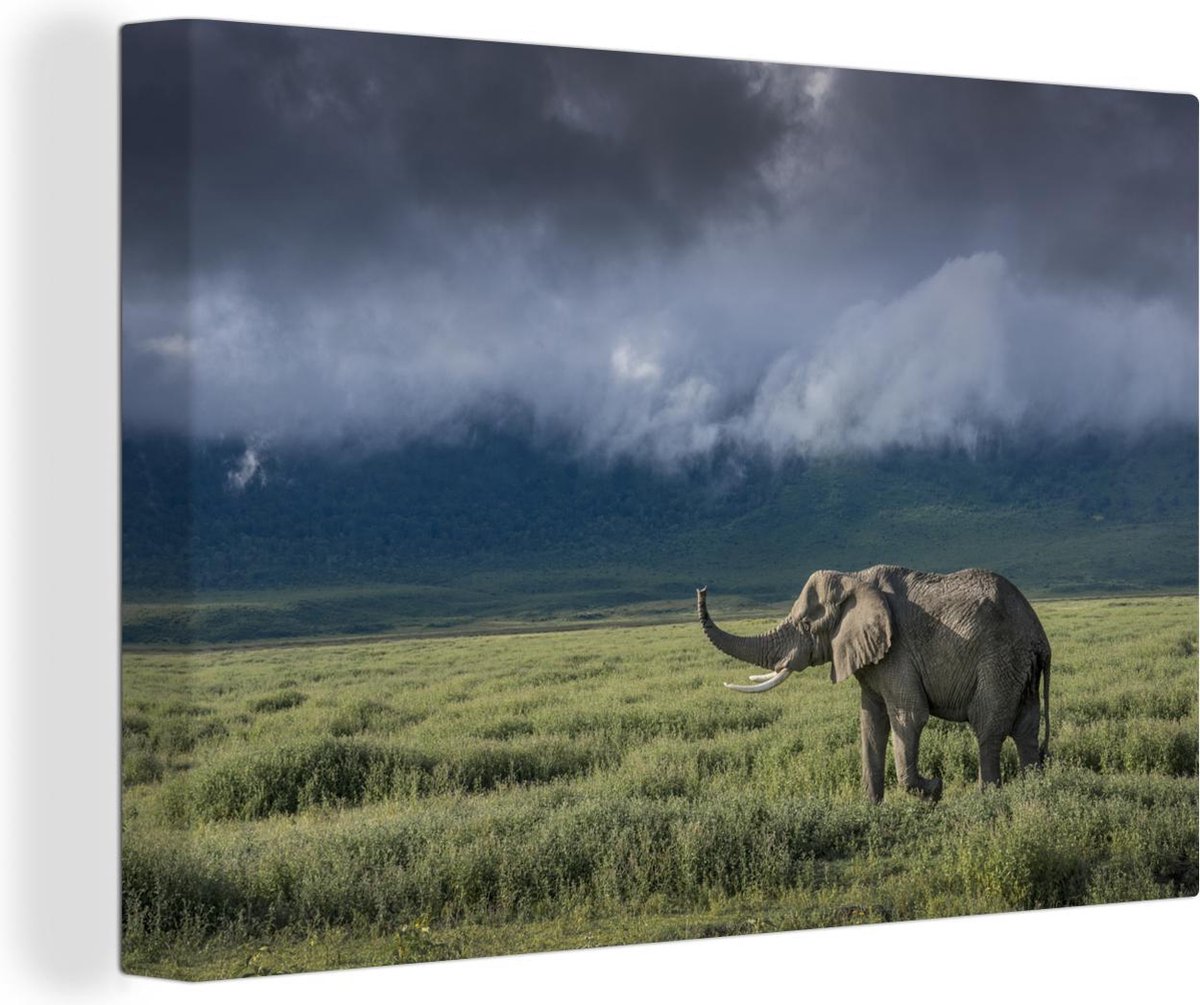 Canvas Schilderij Olifant met gestrekte slurf midden op de savanne in ...
