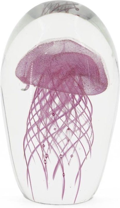 Kwal in glas XL | bol