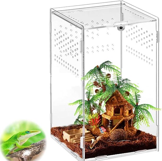 Feeding Box Terrarium Kit - Voor slakken, insecten & reptielen ...