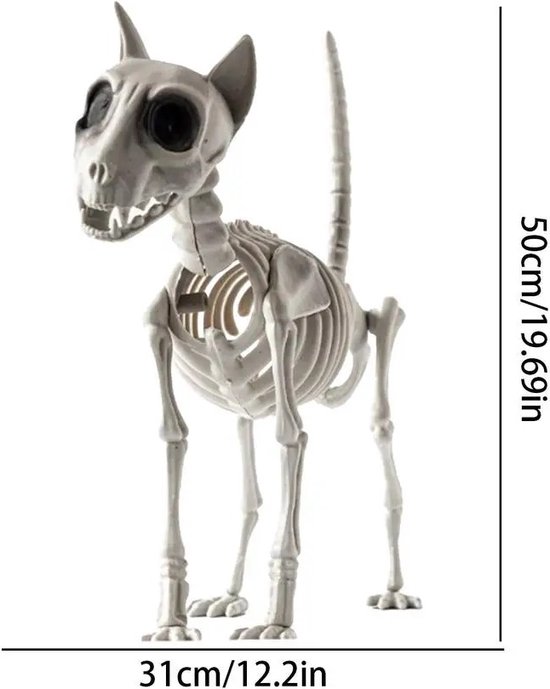 Skelet Hond - Honden Pop - Halloween Decoratie - 50x31cm | bol