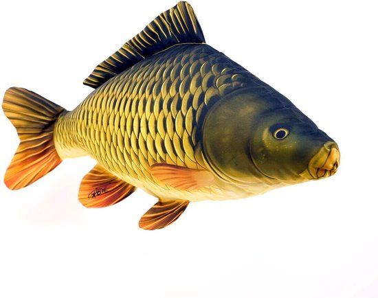 Gaby The Mini Carp - S | bol