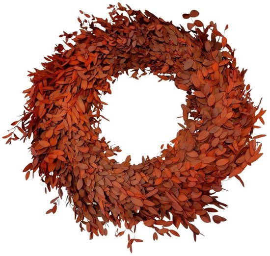 Rode gepreserveerde Eucalyptus Parvifolia krans | Diameter 35 ...