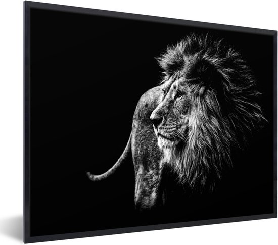 Fotolijst incl. Poster - Dieren - Wild - Leeuw - Zwart - Wit - 40x30 cm - Posterlijst | bol