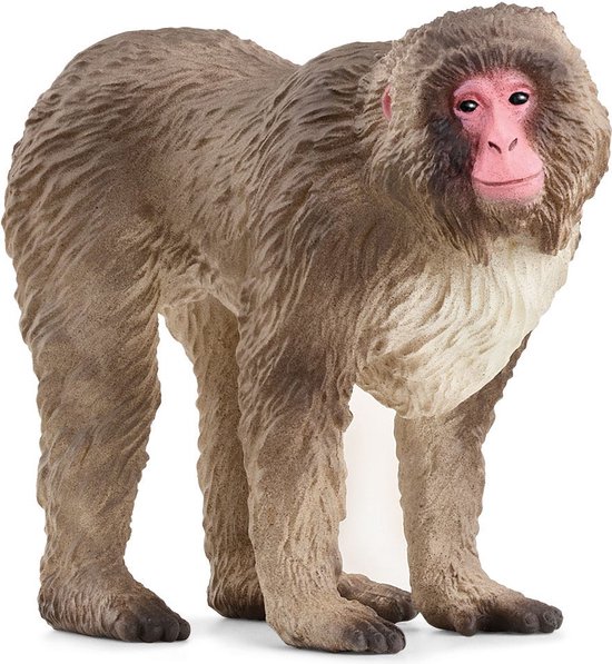 schleich WILD LIFE - Japanse makaak - 14871 | bol