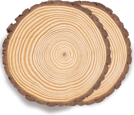 Goodivery ® Creatieve Houten Schijven voor Decoratie en DIY Projecten | bol