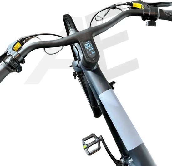 Vogue C4 Elektrische fiets 7SP Belt 36V 12,8Ah E-bike - Stealth Black | bol
