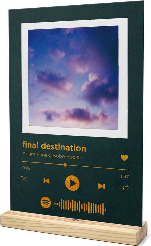 Songr Spotify Muziek Bordje - final destination - Adam Panek, Bobo ...
