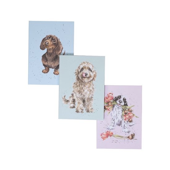 Set 3 Notebooks - A Dog's Life - Wrendale Designs | bol