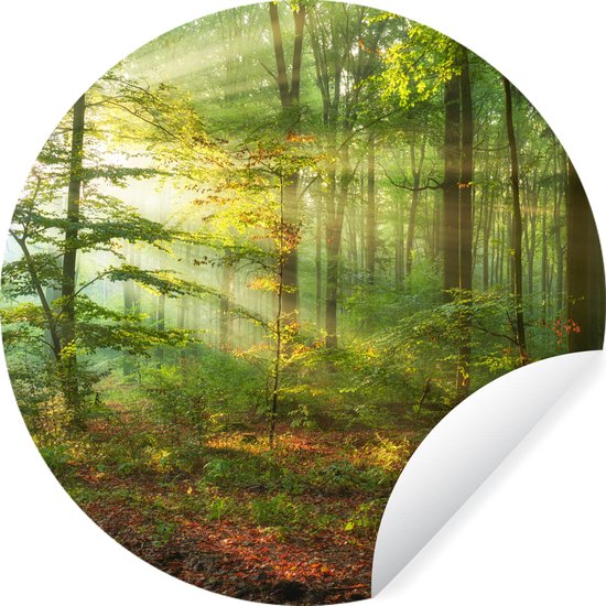WallCircle - Behangcirkel - Behangsticker - Zon - Bladeren - Boom ...