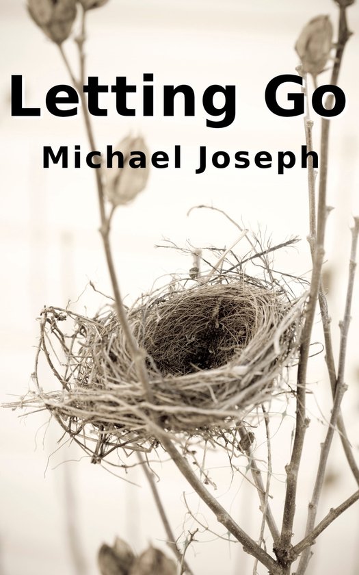 David & Gun 3 - Letting Go (ebook), Michael Joseph | 9781301058723 ...