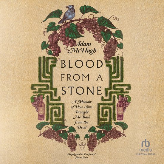 Blood from a Stone, Adam S. Mchugh | 9781545922521 | Boeken | bol.com