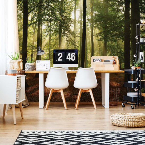 Fotobehang - Vlies Behang - Bos met Zonlicht - 416 x 254 cm | bol