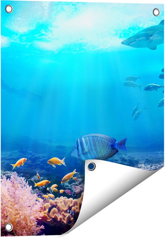 Gards Tuinposter Vissen met Haaien in de Oceaan met Koraalrif - 40x50 ...