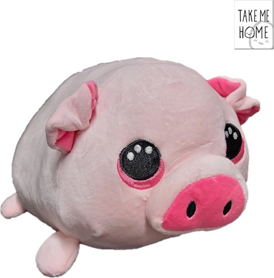 Take Me Home Varken knuffel 33 cm - Super Cute - Super zacht knuffel | bol