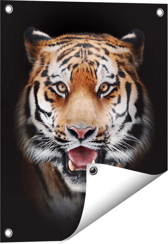 Gards Tuinposter Tijgerkop - Tijger - 40x50 cm - Tuindoek - Tuindecoratie -... | bol