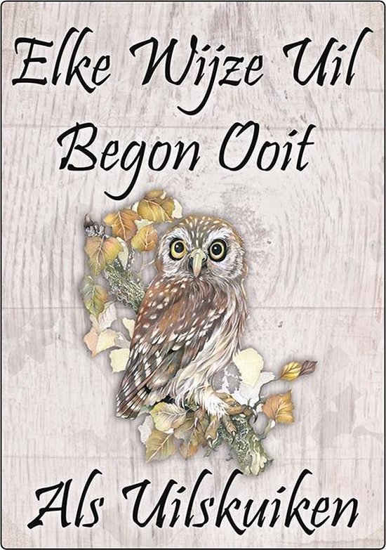 Spreukenbordje: Elke wijze uil begon ooit als uilskuiken | Houten ...