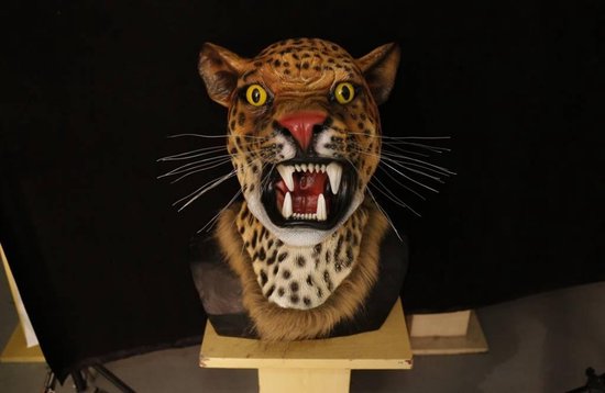 Luipaard masker Deluxe | bol.com