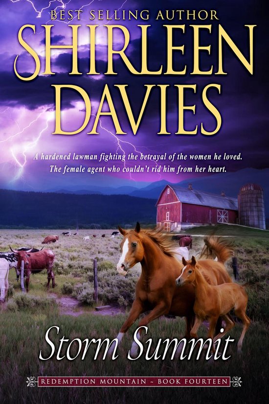Storm Summit (ebook), Shirleen Davies | 9781947680159 | Boeken | bol.com