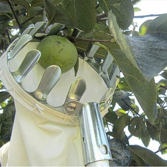 Fruit Plukker - Fruit Vanger - Oogsten Bomen - Verstelbare Lengte - 25 ...