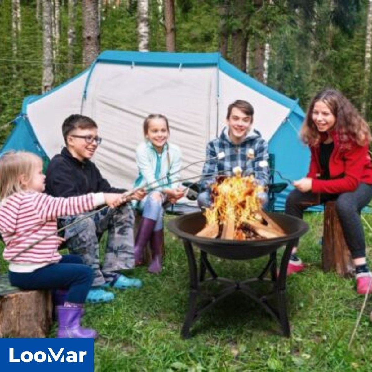 LooMar Vuurkorf voor buiten - Terrashaard - Barbeque Vuurkorf ...