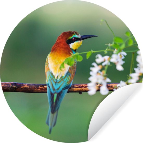 WallCircle - Muurstickers - Behangcirkel - Vogel - Bijeneter - Bloemen - ⌀ 120 cm -... | bol