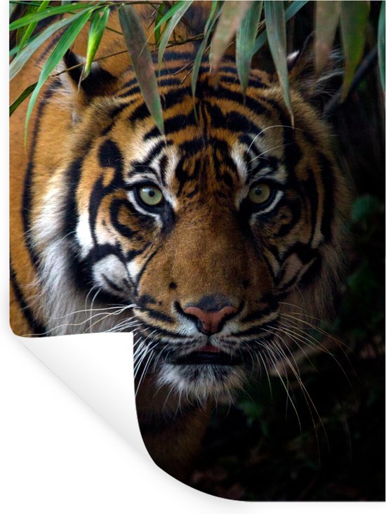 Muurstickers - Sticker Folie - Tijger - Bladeren - Jungle - Dieren - Wild - 90x120 cm... | bol