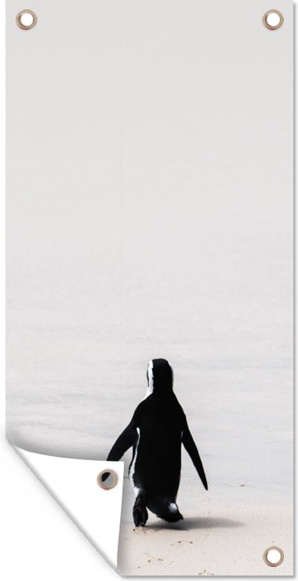 Poster jardin Pingouin à pieds noirs minimaliste - 30x60 cm - Toile ...