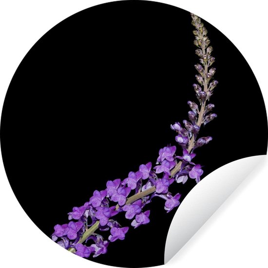 Lavande mauve unique sur fond noir Sticker mural cercle mural 80x80 cm ...