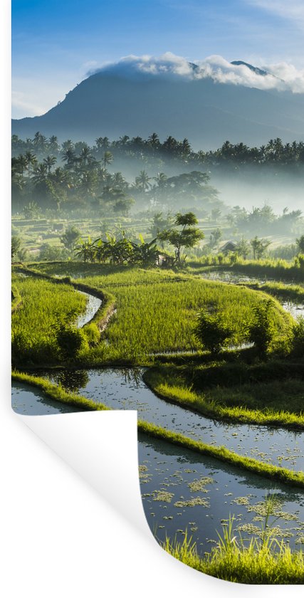 Muurstickers - Sticker Folie - Rijstvelden op Bali - 60x120 cm ...