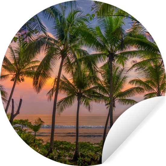 WallCircle - Muurstickers - Behangcirkel - Palmboom - Tropisch - Zee - 100x100 cm -... | bol