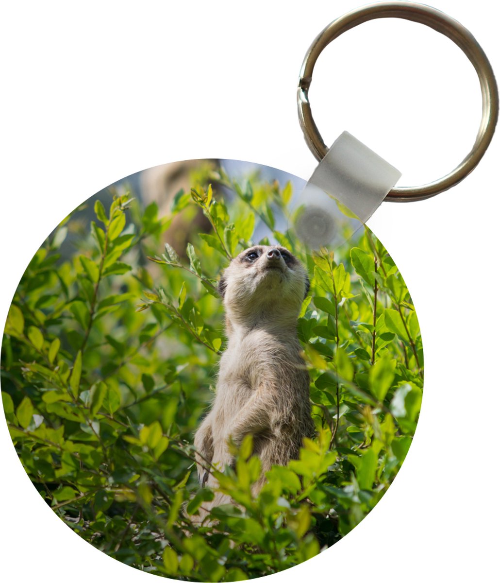 Sleutelhanger - Struiken - Stokstaartje - Dier - Plastic - Rond ...