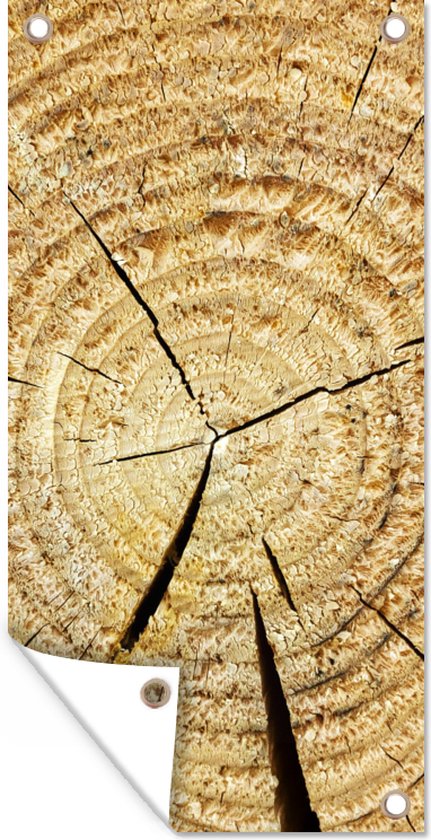 Wanddecoratie buiten Hout - Boom - Hardhout - 80x160 cm - Tuindoek ...