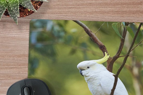 Muismat - Witte kaketoe tussen de groene bladeren - 20x20 | bol