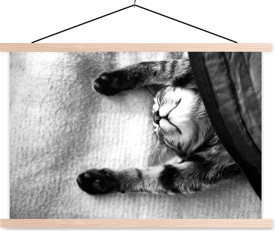 Slapende kat op een kleed - zwart wit | bol.com