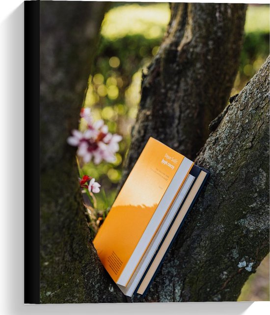 Canvas - Boekjes in Boomstam - 30x40cm Foto op Canvas Schilderij (Wanddecoratie op... | bol