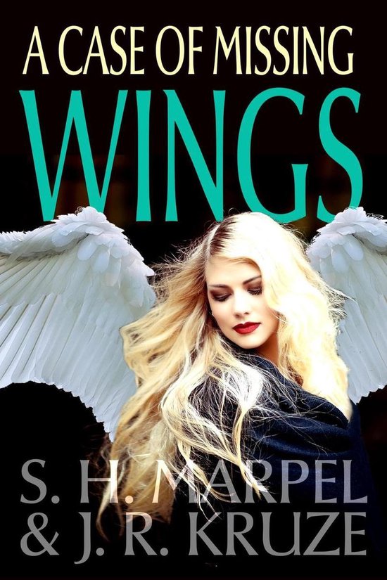 Ghost Hunters Mystery-Detective - A Case of Missing Wings (ebook), S. H ...
