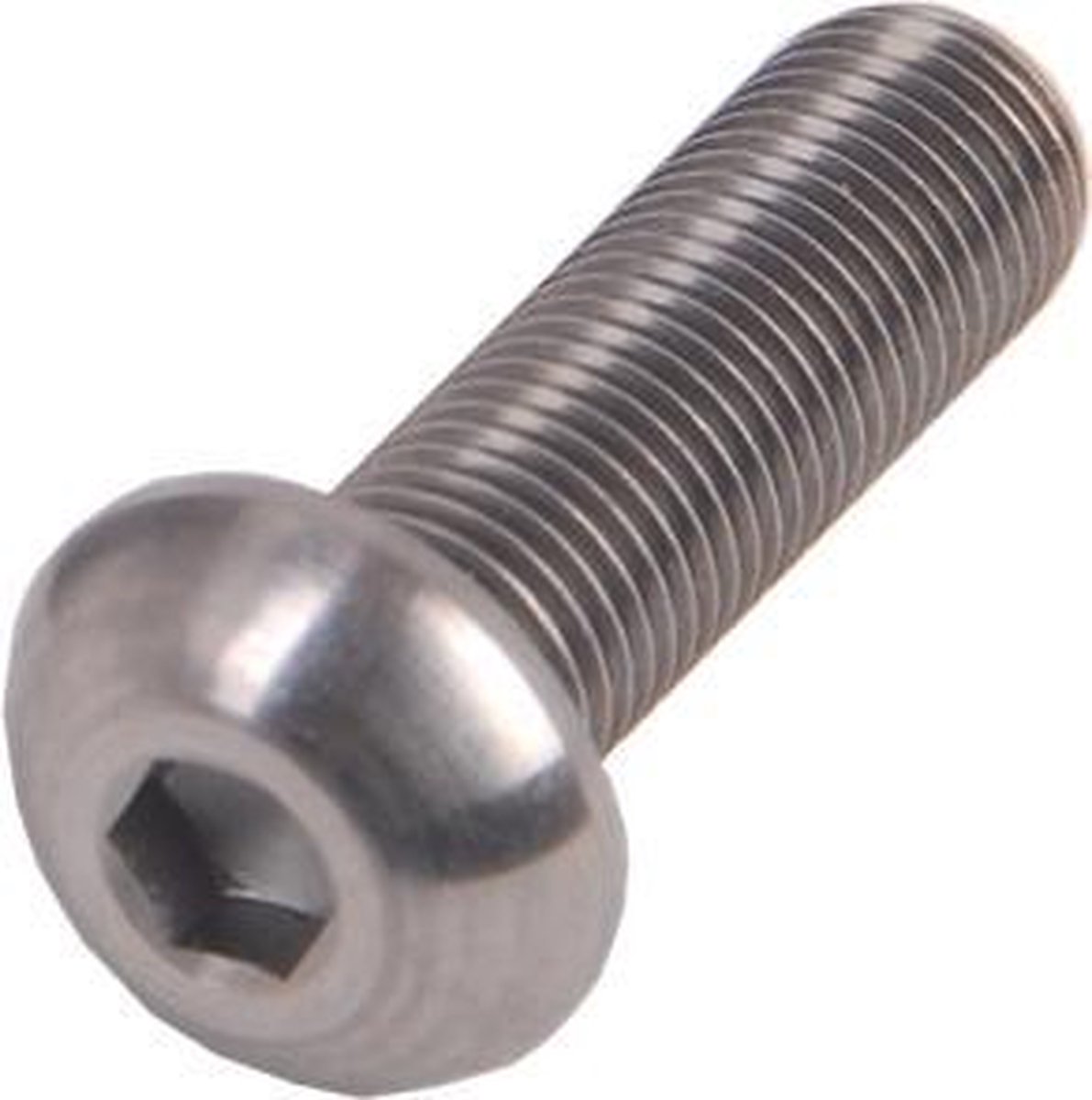 Inbusbout M5 X 12mm RVS Bolkop, 25 Stuks (214174) | bol.com