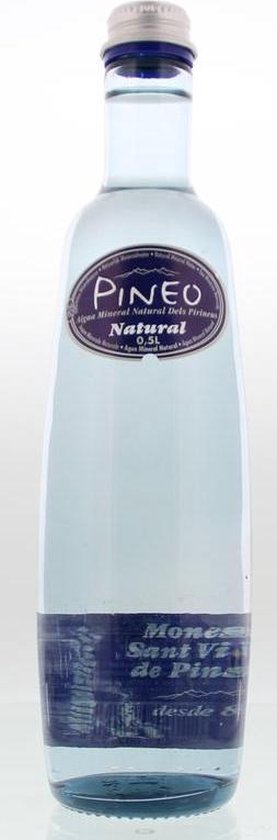 Pineo Natural mineraalwater 500 ml | bol