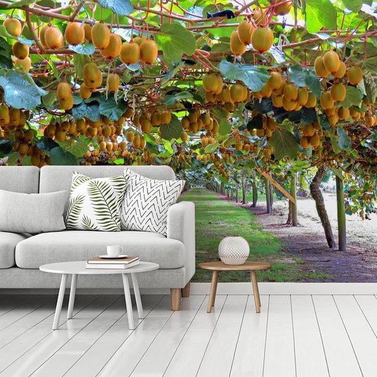 Behang - Fotobehang Kiwi - Boom - Fruit - Breedte 535 cm x hoogte 400 ...
