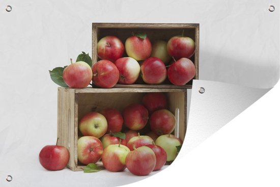 Tuinposters buiten Appel - Krat - Fruit - 90x60 cm | bol.com