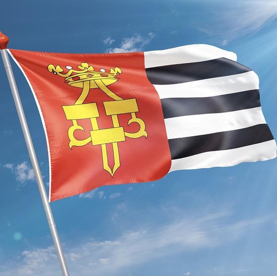 Vlag Drachten - 200 x 300 cm - Polyester | bol