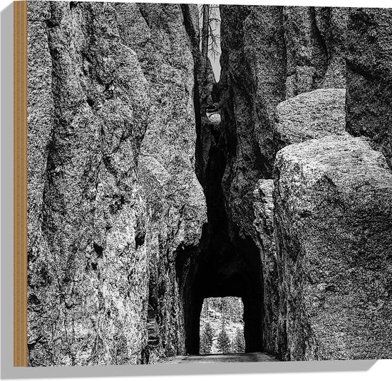 Hout - Pad - Bomen - Rotsen - Zwart - Wit - 50x50 cm - 9 mm dik - Foto ...
