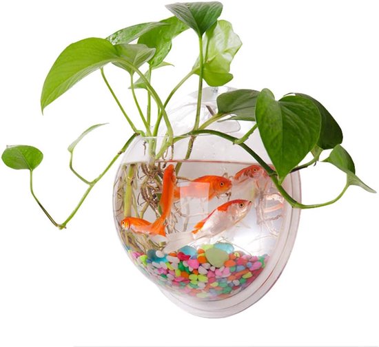 Aquarium Wandmontage - Acryl Viskom - Decoratieve Vissenkom Container | bol