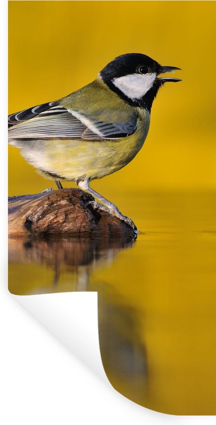 Muurstickers - Sticker Folie - Koolmees - Vogel - Water - 20x40 cm ...