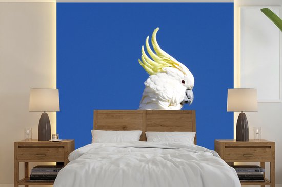 Behang - Fotobehang Witte kaketoe met een gele kuif in een blauwe hemel ...