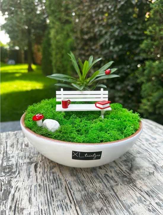 XL Tuintjes | Love S-I | Handgemaakte Persoonlijke Miniatuurtuinen ...