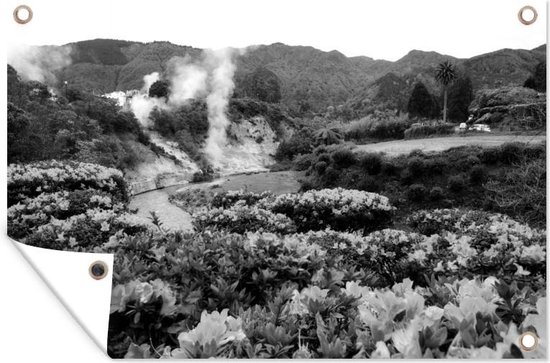 Décoration de jardin Un geyser naturel dans la ville de Furnas aux ...