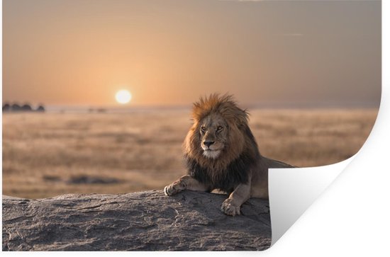 Muurstickers - Sticker Folie - Leeuw - Zon - Afrika - 120x80 cm - Plakfolie -... | bol
